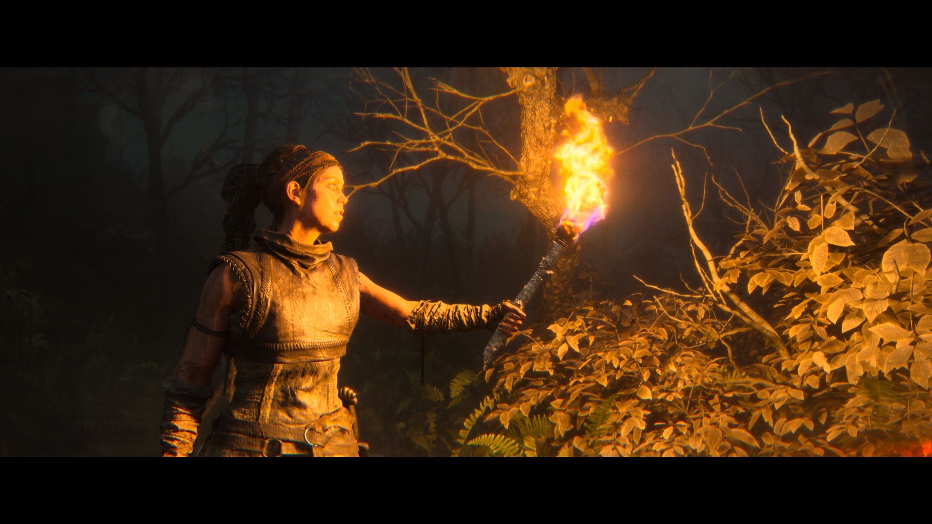 Senua’s Saga: Hellblade II (Review) – The Late Night Session
